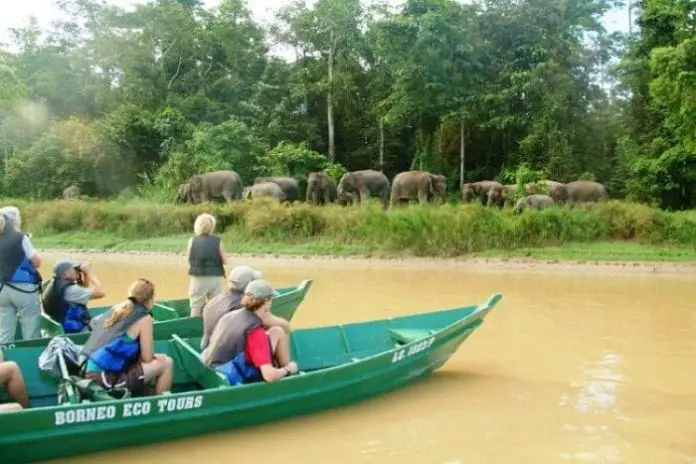 Los 8 mejores destinos para hacer ecoturismo en el mundo