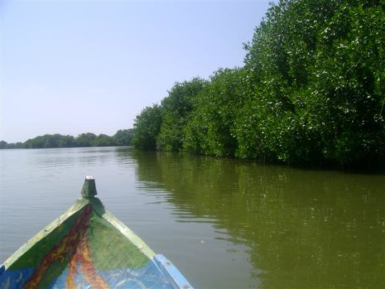 10 lugares para el ecoturismo en Latinoamérica | Turismo Y Viajes