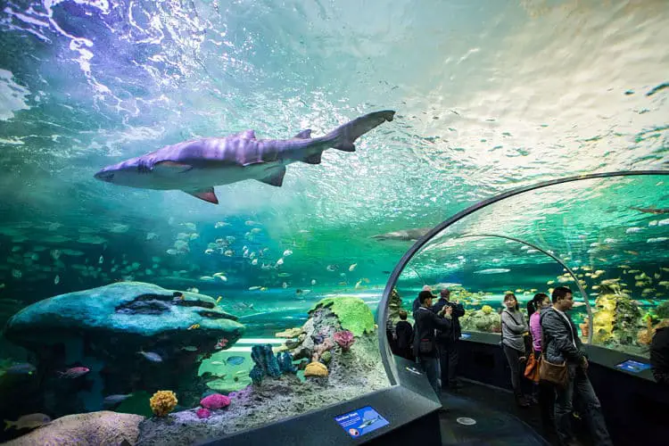 10 Atracciones Turísticas de Toronto - ¡Imperdibles! | Turismo Y Viajes