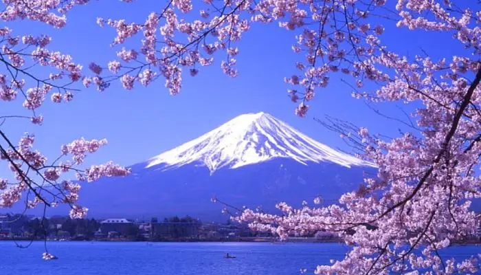 6 Lugares Que ver en Japón: ¡Majestuosos!
