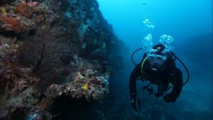 Conoce Los Doce Apóstoles en Australia. Un Paisaje Inolvidable!